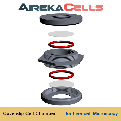 SC15032-Coverslip Cell Chamber